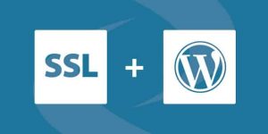Cài SSL Cho Website Sử Dụng Wordpress Với [2 Cách] Đơn Giản