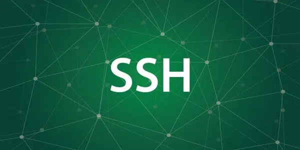 SSH là gì? Tổng hợp chi tiết [A-Z] về SSH cho người bắt đầu - BKNS