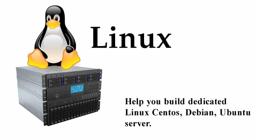 VPS Linux Là Gì? Tại Sao Nên Dùng VPS Linux? - BKNS