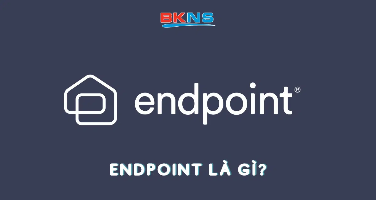 Endpoint là gì? Endpoint đóng vai trò gì trong việc phát triển APIs? - BKNS