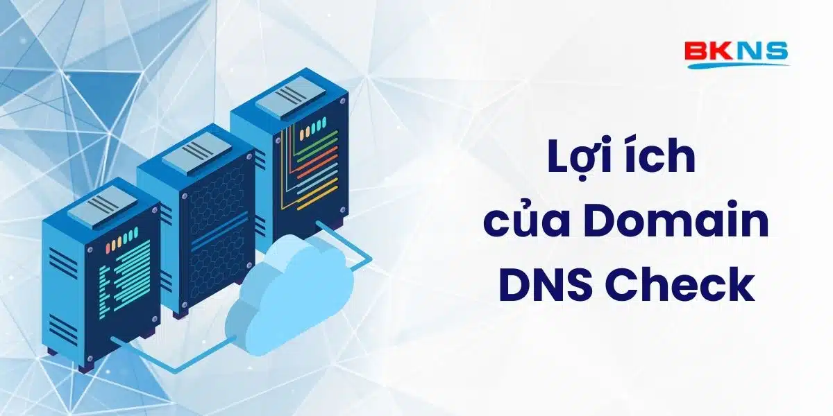 Hướng dẫn chi tiết kiểm tra DNS Domain - BKNS