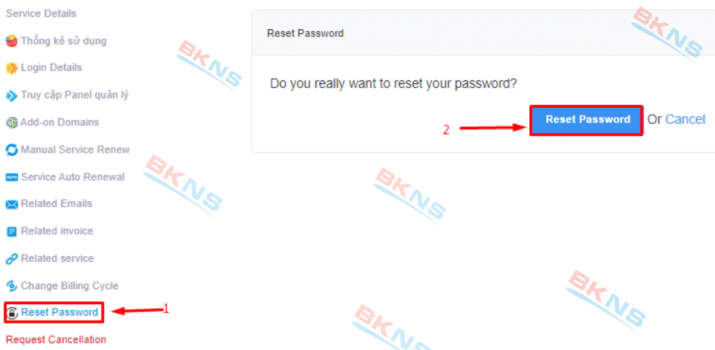 Hướng Dẫn Reset Mật Khẩu Hosting Directadmin Trên Trang my.bkns.net - BKNS
